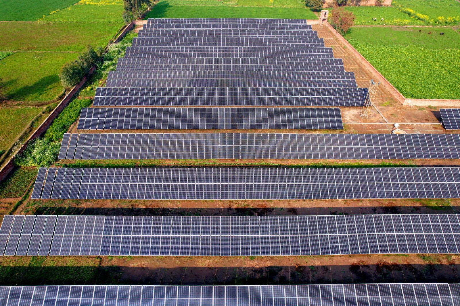 Bismillah Rice Project Size 1 MW – Elite Renewables